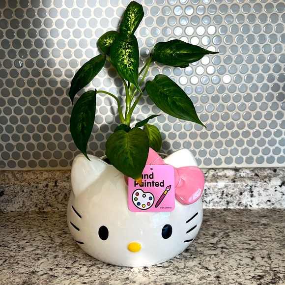 Hello Kitty | Accents | Hello Kitty Planter | Poshmark